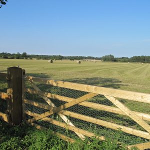 Gate Posts 4WW Green - Thomson Sawmills