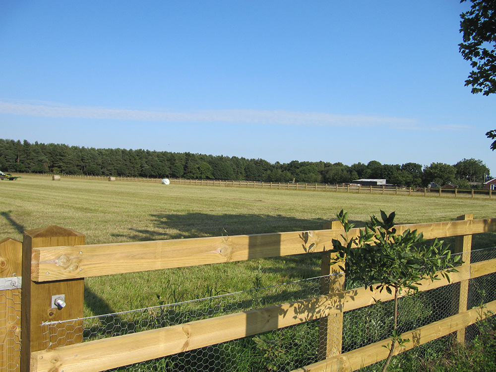 Gate Posts 4WW Green – Thomson Sawmills