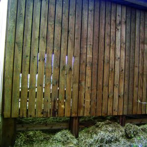 Barn cladding - Thomson Sawmills