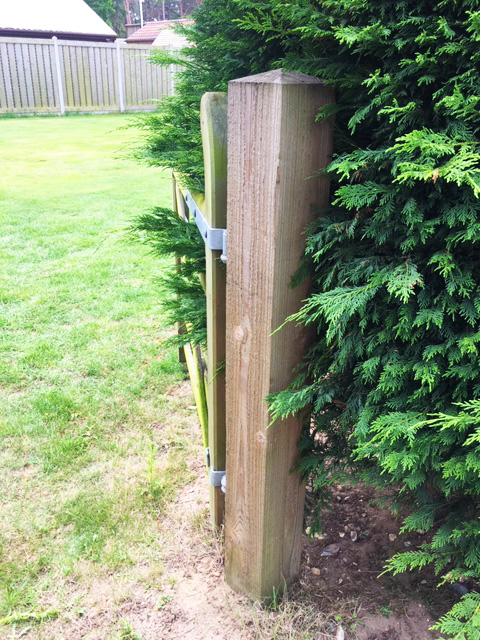 Gate Posts 4WW Green – Thomson Sawmills