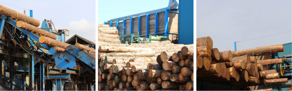 Job Vacancies – Thomson Sawmills