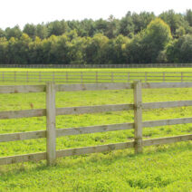 Post and Rail Paddock Fencing - Thomson Sawmills
