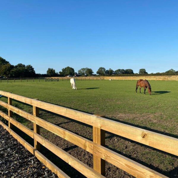 Post and Rail Paddock Fencing - Thomson Sawmills